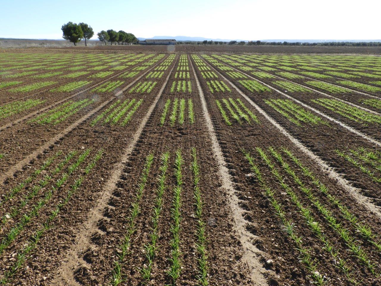 EEAD - Aragón Investiga